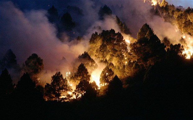 Al Qaeda Advocates Forest Fire Terrorism